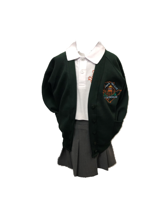 henblas primary school